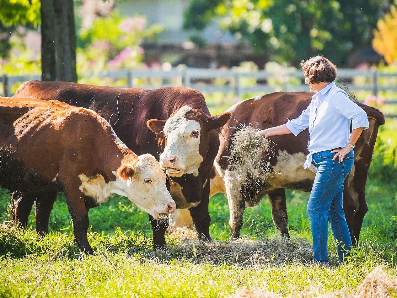 Employee Spotlight: Ann Ball, Regulatory Affairs Manager | QualiChem ...